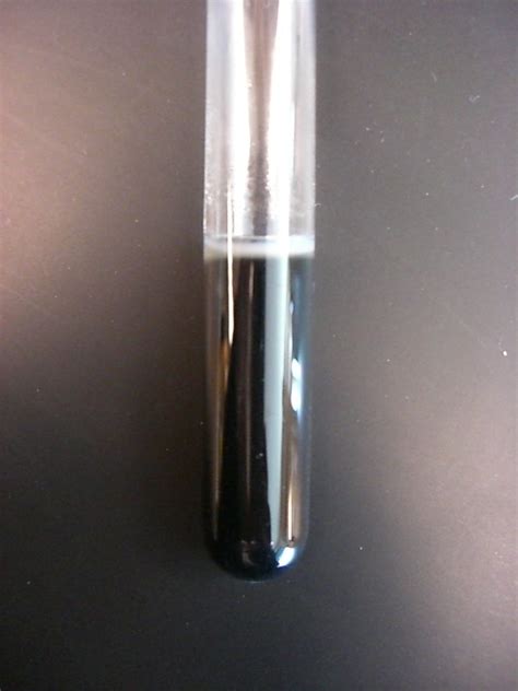 Motility H S Bacteria That Are Motile And H S Pro Flickr