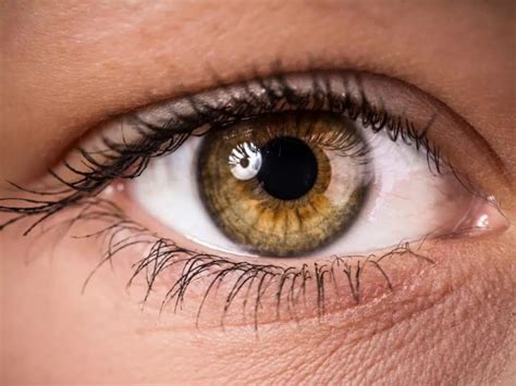 Cornea Transplant Surgery What You Need To Know Harley Vision