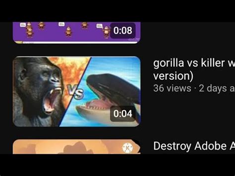 Gorilla Vs Killer Whale Glitchylatereal Edition Youtube