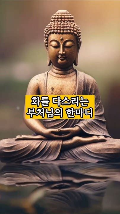 화를 다스리는 부처님의 한마디 부처님말씀 부처님명언 부처님의 가르침 부처님 명언 좋은말 좋은글 오디오북 긍정적마인드 긍정의말 지혜 Youtube