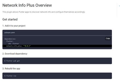 Flutter Package Networkinfoplus Wifi 이름 Ip 등등 정보 가져오기