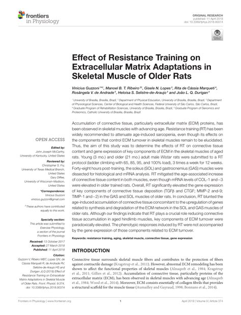Pdf Effect Of Resistance Training On Extracellular Matrix Adaptations In Skeletal Muscle Of