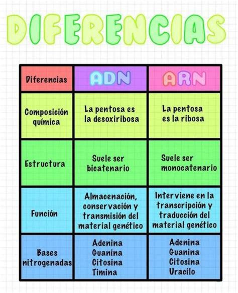 Adn Vs Arn Yudoc Org Udocz