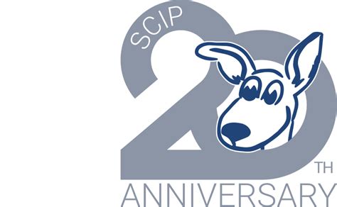 Let S SCIP It A Workshop To Celebrate 20 Years Of Solving Constraint