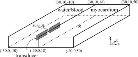 Geometry Used In The Next Generation Linear Array Transducer Model When