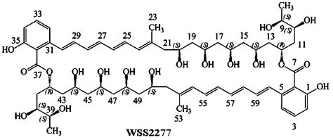 Biosynthesis Gene Cluster Of Polyenoid And Polyol Macrolide Compound Eureka Patsnap