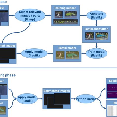 Overview Of The Semi Automated Pipeline Used To Detect And Calculate