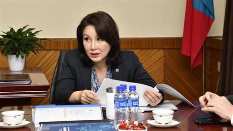 Байнгын хорооны дарга Б Баярсайхан боловсрол болон соёлын салбарын зарим асуудлын хүрээнд санал