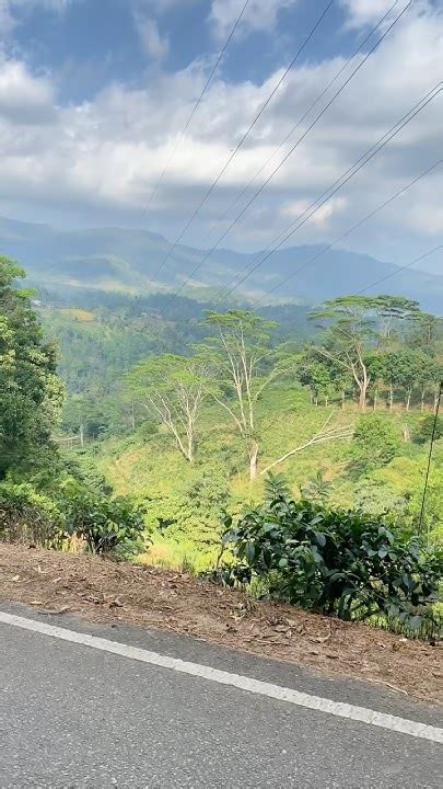 ස්වභාවධර්මය එක්ක ජීවත් වෙන එක තරම් සතුටක් මටනම් නෑ 💚💚 Shortvideo Youtube