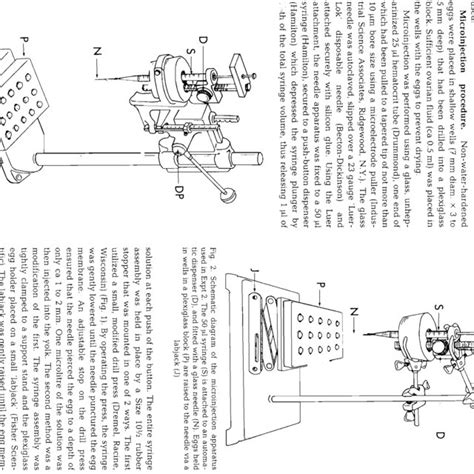 Schematic D~agram Of The Microinjection Apparatus Used In Expt 2 The Download Scientific