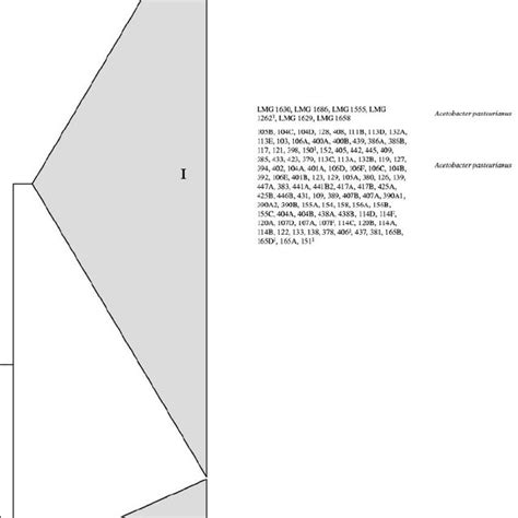 Dendrogram Based On The Numerical Analysis Of Generated Digitized