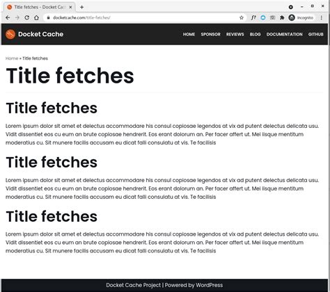 Object Caching In Simple Term Docket Cache