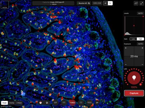 Discover ECHO By Echo Laboratories