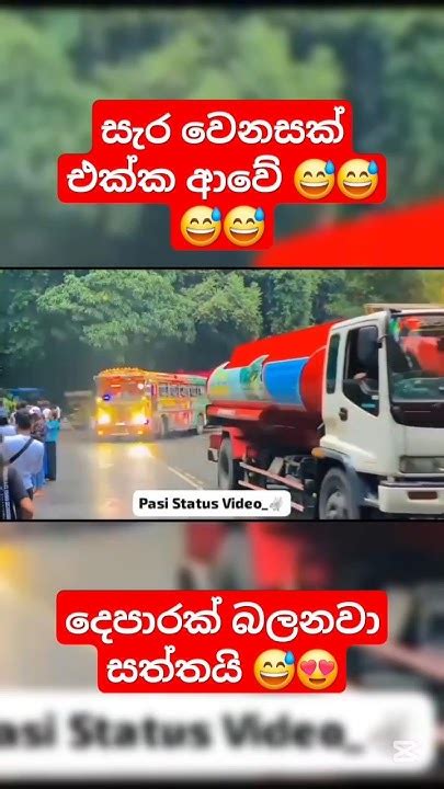 සැර වෙනසකින් ආපු මෙයාව බලන්නකෝ 😅😅😅අනිවරෙන් දෙපාරක් බලනවා සත්තයි 😍😍😍😍 Shorts Youtube