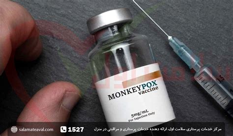 آبله میمون چیست علائم و درمان ابله میمونی عکس