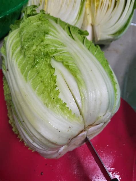 김장 배추 절이는 법 절임물 소금양 쉽게 절이기 네이버 블로그