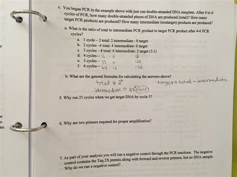 solved you began pcr in the example above with just one