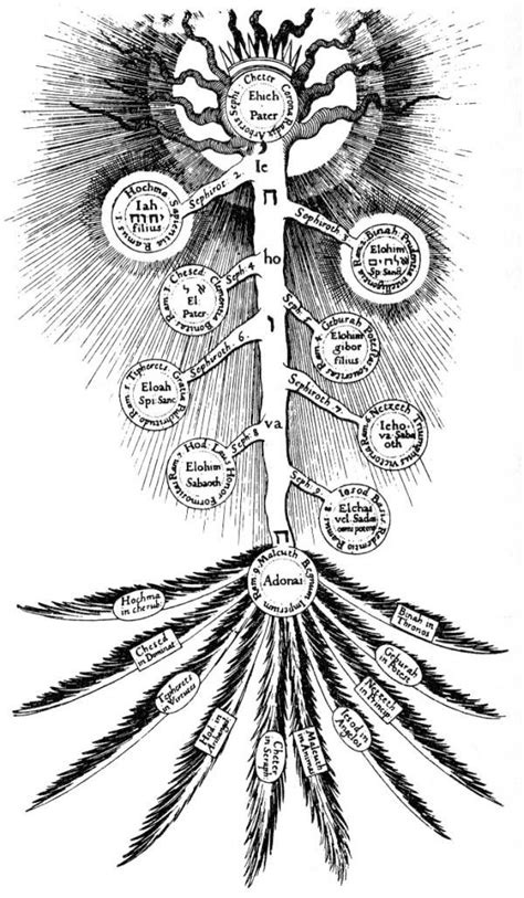 The Tree Of Life Understanding Its Symbolism And Significance Symbol Sage