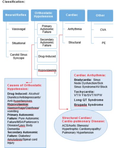 Syncope Objectives Flashcards Quizlet