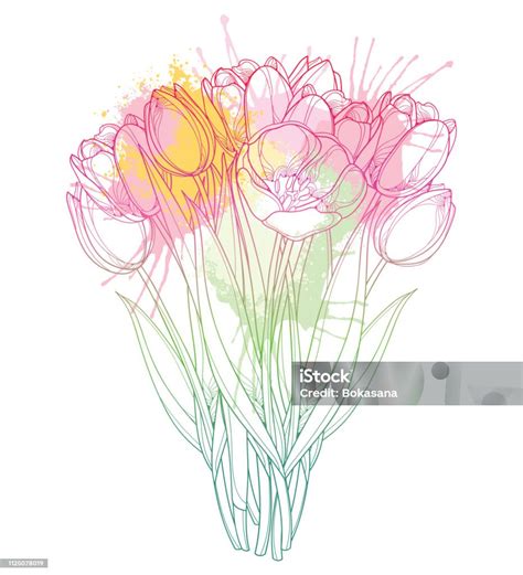 개요 튤립 꽃 꽃 봉 오리와 흰색 배경에 고립 된 파스텔 핑크와 그린 컬러에 화려한 나뭇잎 벡터 꽃다발 0명에 대한 스톡 벡터
