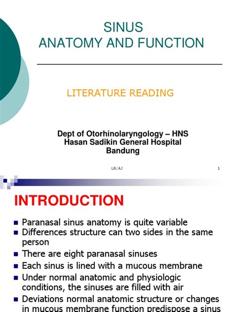 Pdf Sinusanatomi And Function Pd2 Dokumentips