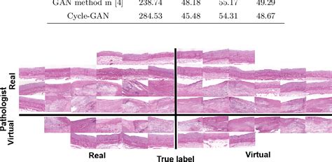 Figure 3 From Scpat Gan Structural Constrained And Pathology Aware Convolutional Transformer