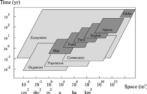 Examples Of The Spatial And Temporal Scale For Investigations Of Download Scientific Diagram