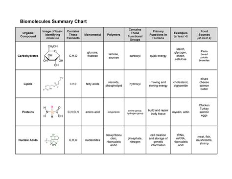 Copy Of Biomolecules Summary Chart Biomolecules Summary Chart Organic
