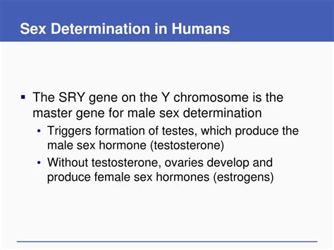 Ppt Chromosomes And Human Inheritance Powerpoint Presentation Free