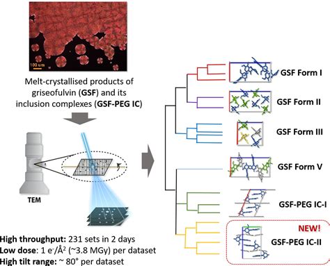 Phase Identification And Discovery Of An Elusive Polymorph Of Drug‐polymer Inclusion Complex