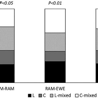Proportion Of Ram Ram Activities And Ram Ewe Activities Exhibited Download Scientific