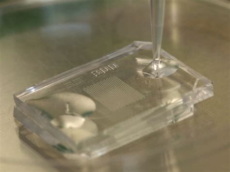 Video A Microfluidic Platform For High Throughput Single Cell Isolation And Culture