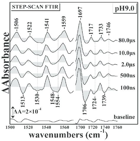 Time Resolved Step Scan Fourier Transform Infrared Trs 2 Ftir Download Scientific Diagram