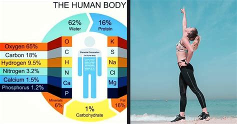 Learn About The Elements Make Up The Human Body And How They Make Us Tick TwistedSifter