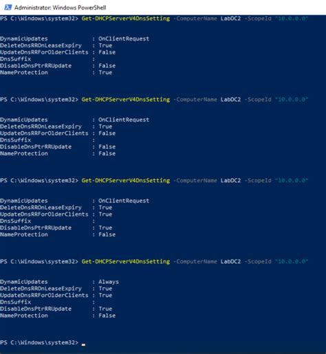 The Mysterious Microsoft Dhcp Option Id 81 Carl Webster