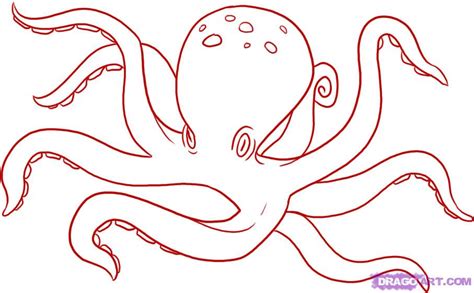 Colossal Squid Drawing At PaintingValley Com Explore Collection Of Colossal Squid Drawing