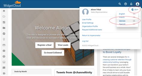 How Does The Multi Language Translation Functionality Work Support