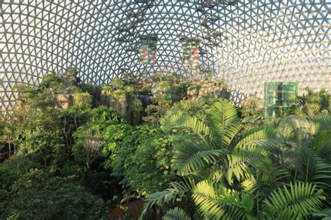 거제도 여행 거제식물원 정글돔 아이랑 실내가볼만한곳 네이버 블로그