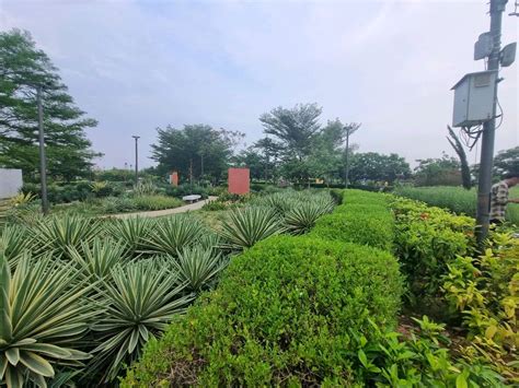 abhinay pandey on linkedin greenery nature landscape