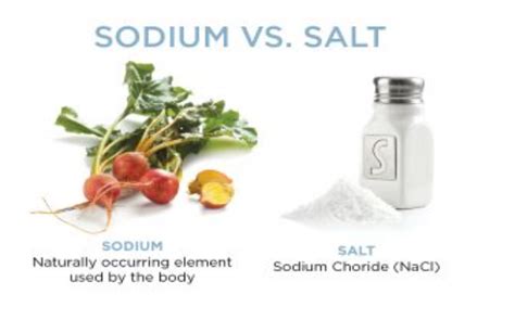 Differences Between Natural Forms Of Sodium Vs Synthetic Salt CPR And First Aid Training
