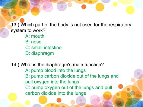 Quiz 1 Activity 1 Respiratory System Pptx