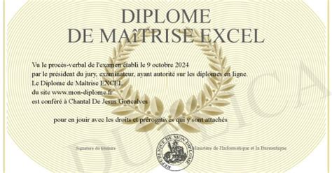 Diplome De Maitrise Excel