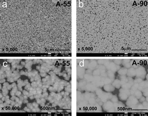 Sem Micrographs Of A 55 And A 90 Samples At Different Magnifications Download Scientific Diagram