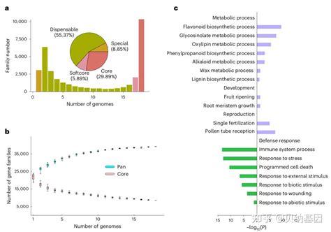 Ng详解｜泛基因组分析为深入了解柑橘进化和果实柠檬酸积累的关键基因提供线索 知乎