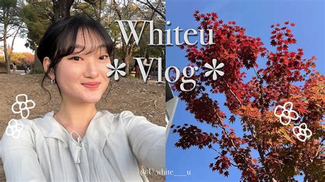 대학생 Vlog 다가온 가을과 시험기간 중 잠깐의 밤의 단맛 ㅣ 영상일기 ㅣ 브이로그ㅣ 일상 ㅣ 서울숲 ㅣ 양재천 Youtube