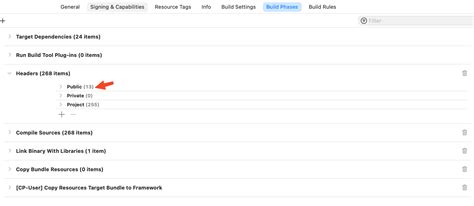 Error Using Bridging Headers With Framework Targets Is Unsupported