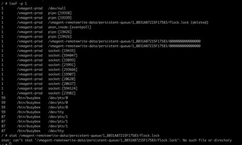 Vmagent Flock File Was Opened By Process But Not Existed On File