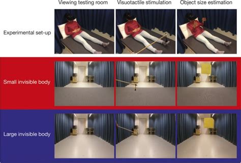Illusions Of Having Small Or Large Invisible Bodies Influence Visual Perception Of Object Size