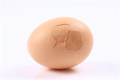 Egg Segmentation In Poultry Industry Based On Color Object Detection