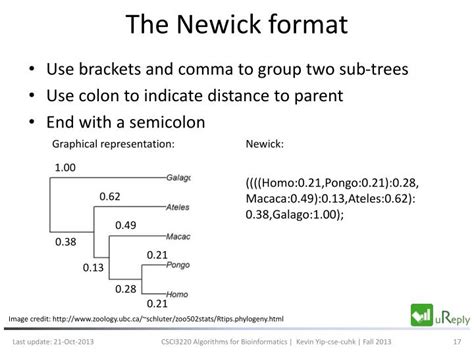 Ppt Lecture 8 Phylogenetic Tree Reconstruction Powerpoint
